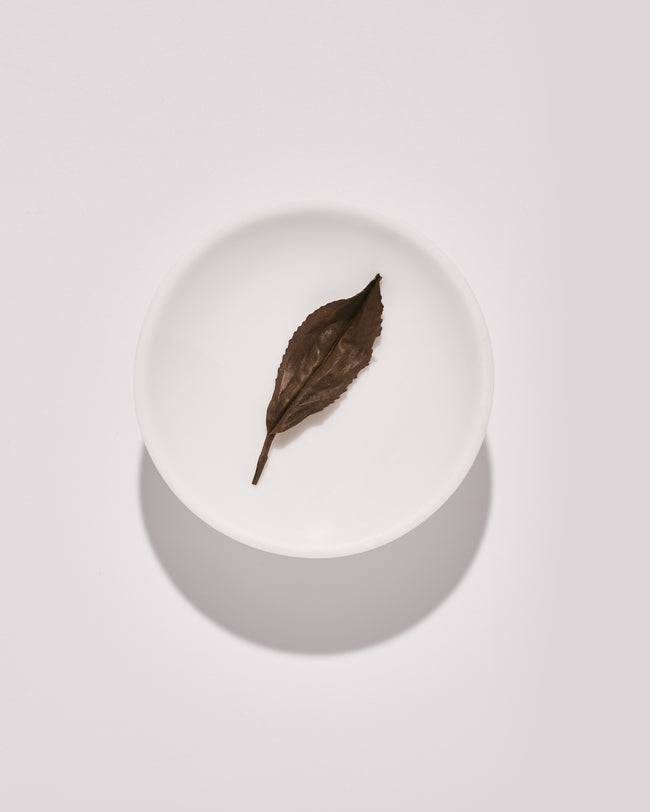 Peterston Tea - organic Welsh tea, kombucha, tea plants and events