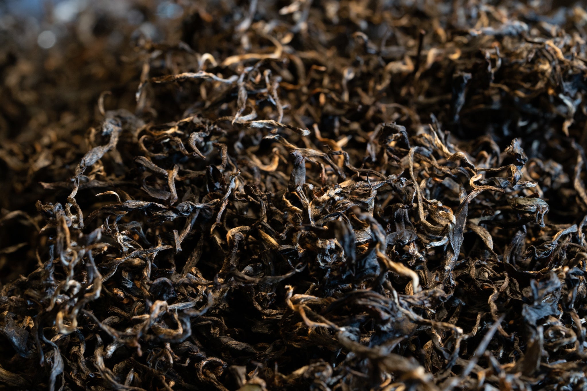 Peterston Tea - organic Welsh tea, kombucha, tea plants and events